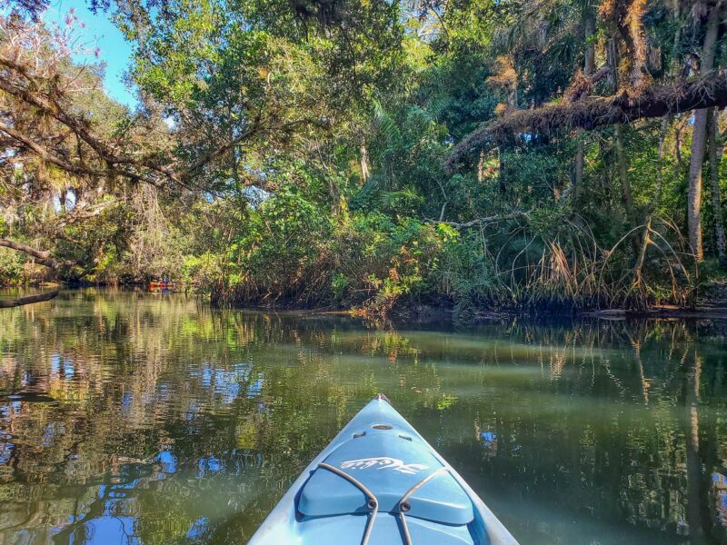 The Steinhatchee River: Taylor County’s Natural Treasure and Gateway to ...