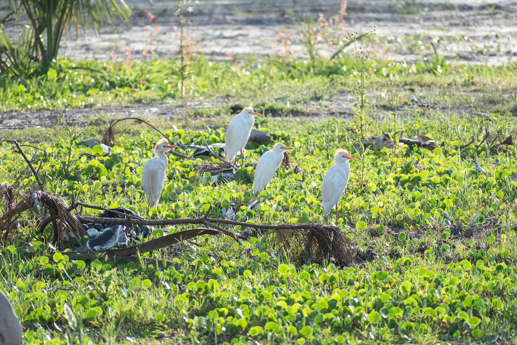 Perry, Florida – Welcome to Perry Florida